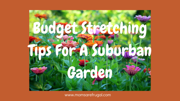 Budget Stretching Tips For A Suburban Garden - Moms are Frugal